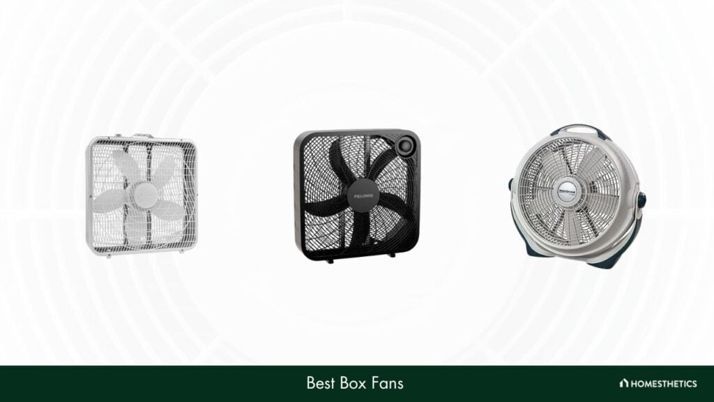 8 Best Box Fans For Home Cooling With Powerful And Quiet Operation