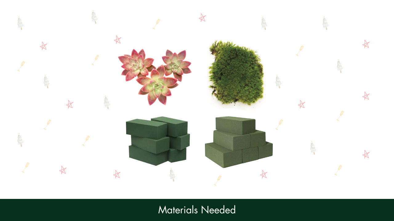 Learn How To Make A Succulent Christmas Tree