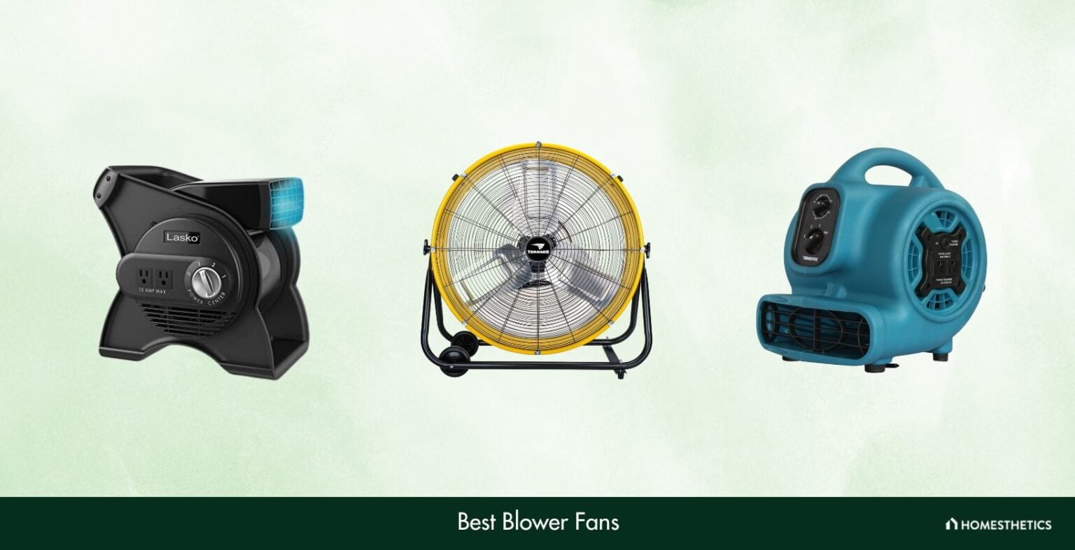 Best Fans: 5 Best Blower Fans Of 2024 | Reviews + Guide