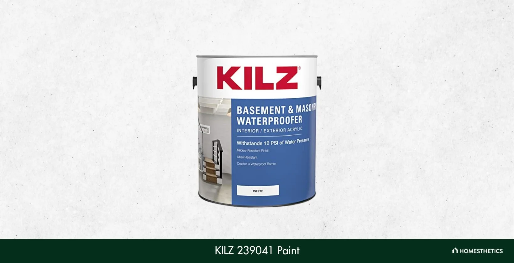 5 Best Mold-Resistant Paints For Bathrooms, Basements, And Damp Spaces